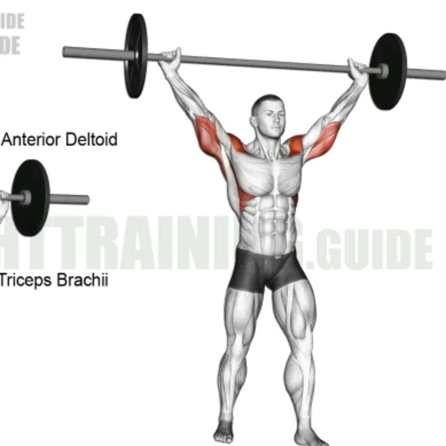 Military Press by Oj Williams - Exercise How-to - Skimble