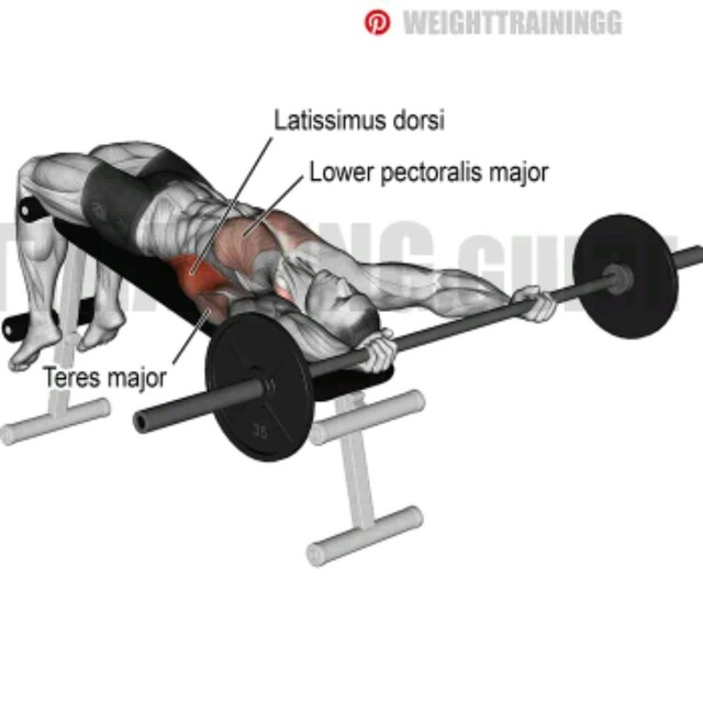 Barbell Pullover by Andrew Spear - Exercise How-to - Skimble