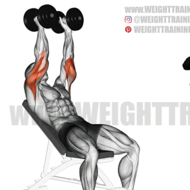 Incline Tricep Extensions by Andrew Spear - Exercise How-to - Skimble
