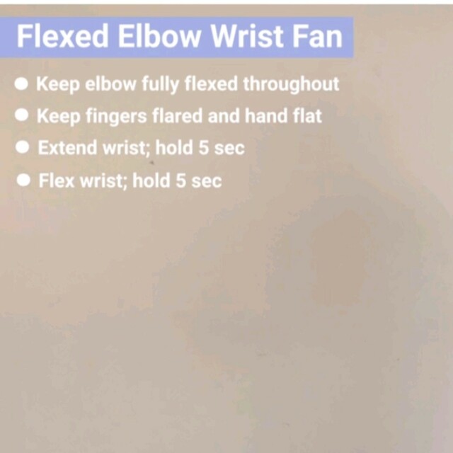 Flexed elbow Wrist Fan by Eo 4wellness - Exercise How-to - Skimble