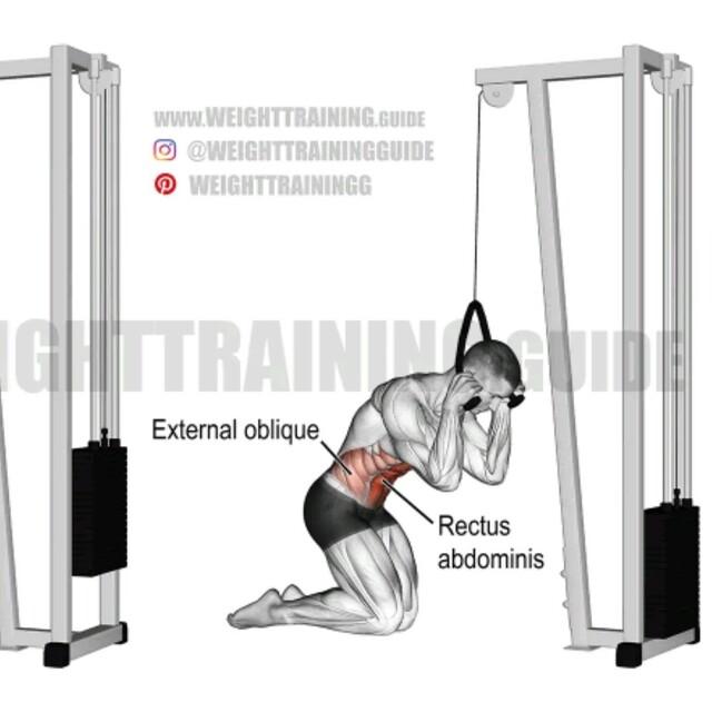 Kneeling Cable Crunch by Martel Berry - Exercise How-to - Skimble