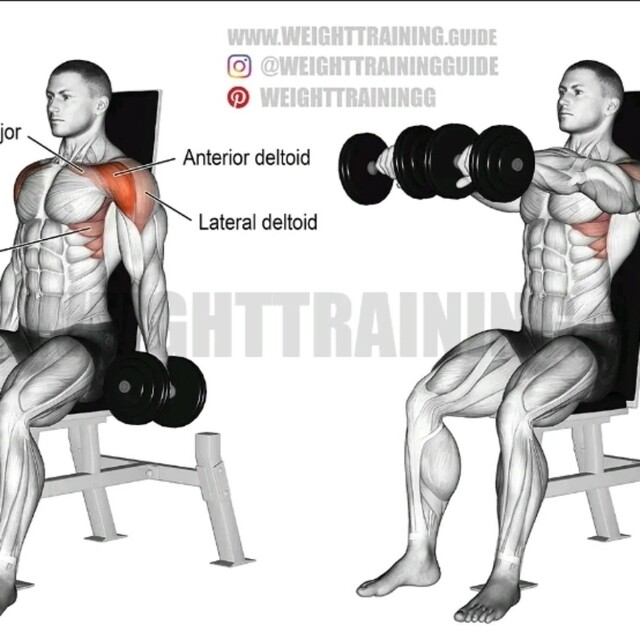 Seated Dumbbell Front Shoulder Raise by Kc H. - Exercise How-to - Skimble