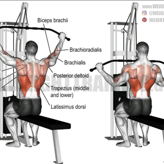 Wide Grip Lat Pulldown by Kc H. - Exercise How-to - Skimble