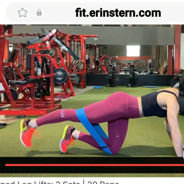 Quadruped Leg Lifts: 2 Sets | 20 Reps by Corporal Knutson - Exercise ...