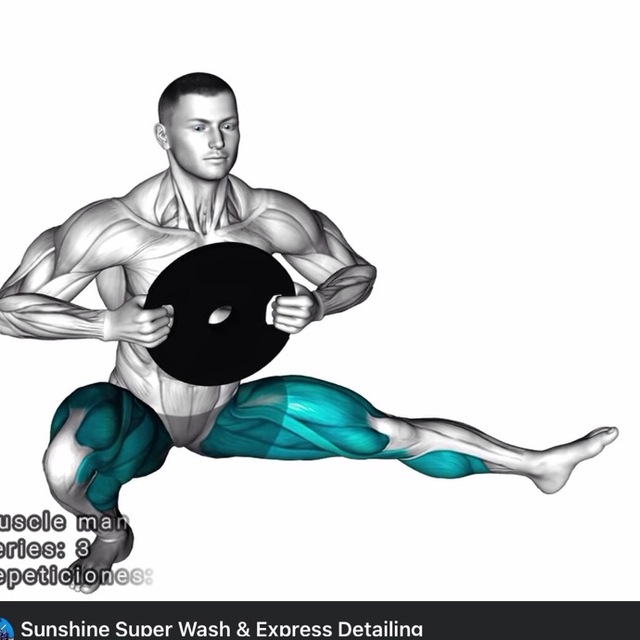 Side To Side Deep Squats Holding On To A Weight by Melissa L ...