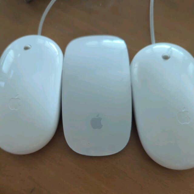 Testy by Jenny D. - Exercise How-to - Skimble Workout Trainer