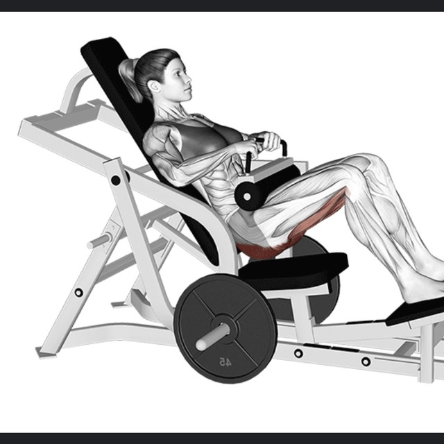 Glute Trainer by Marie Ligay - Exercise How-to - Skimble