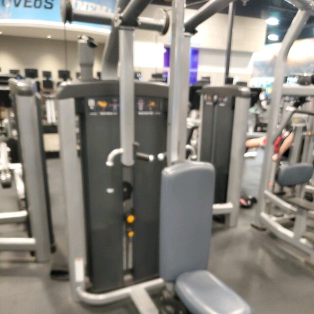 Rear Deltoid by Cisco Figs - Exercise How-to - Skimble