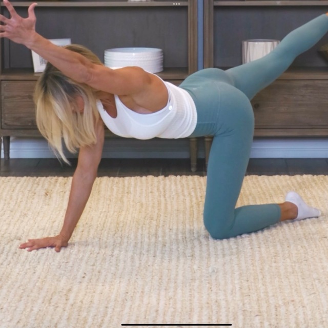 Bird Dog Extension by Fifi J. - Exercise How-to - Skimble