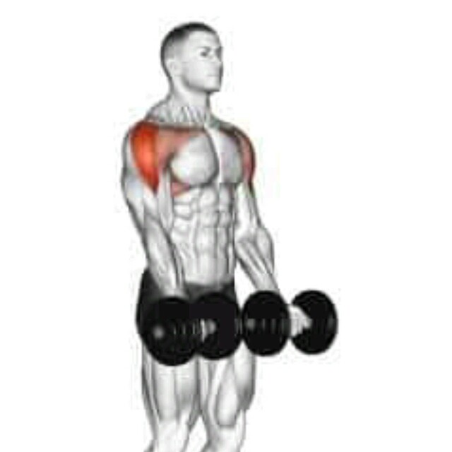 Around The World Lateral Raises by Elaine Briedenhann - Exercise How-to ...