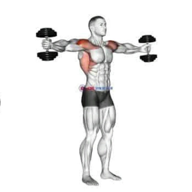 Around The World Lateral Raises by Elaine Briedenhann - Exercise How-to ...
