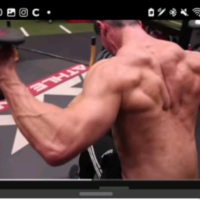 Seated Rear Delt Dumbbell Row by Martel Berry - Exercise How-to - Skimble