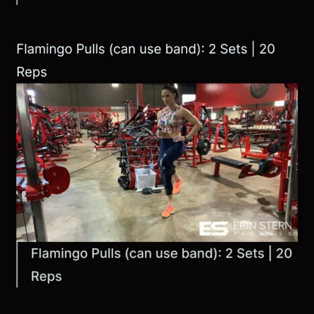 Flamingo Pulls (can use band): 2 Sets | 20 Reps by Corporal K ...