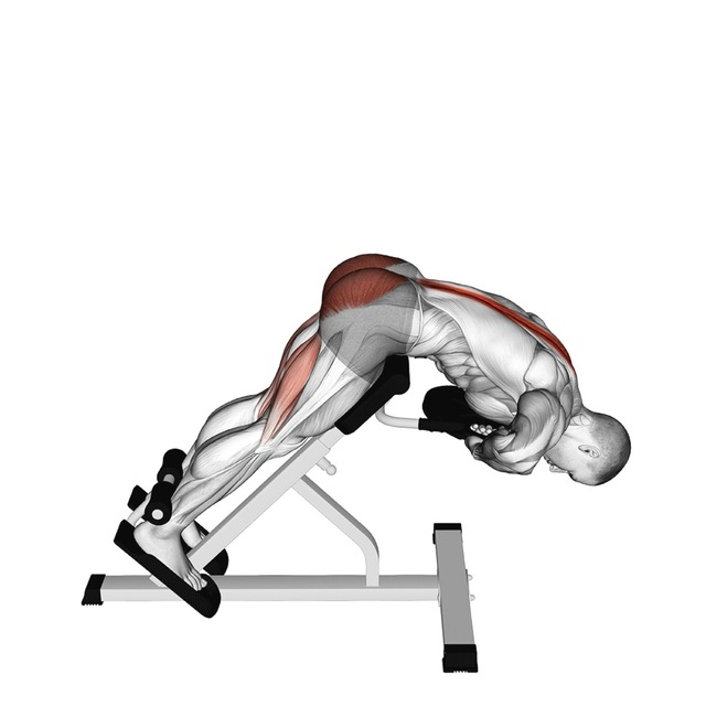 Roman Chair Back Extensions by Jdan Bit - Exercise How-to - Skimble