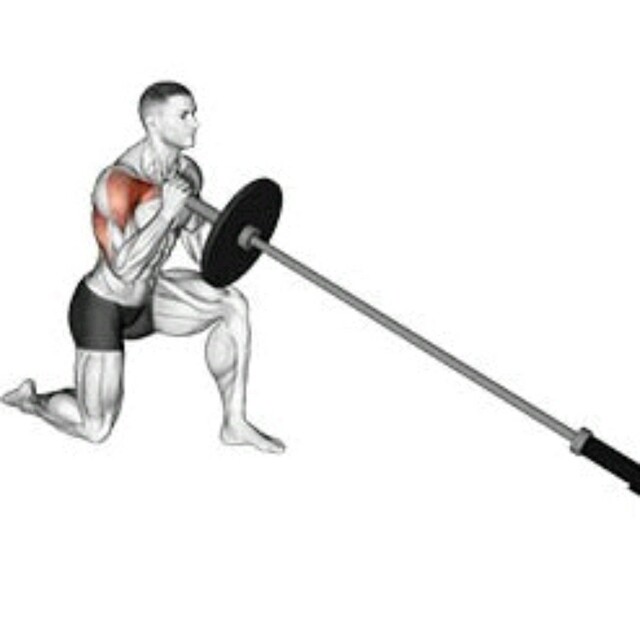 Half Kneeling Landmine Shoulder Press by Coach Matt Vinzant - Exercise ...