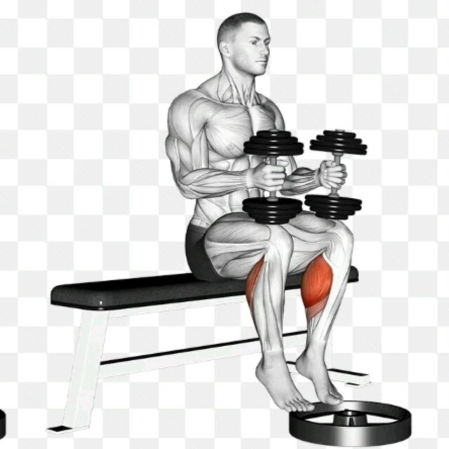 Dumbbell Calf Raises by Kc H. - Exercise How-to - Skimble