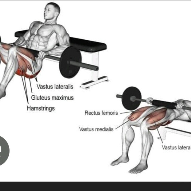 Bench Hip Thrust by Kc H. - Exercise How-to - Skimble