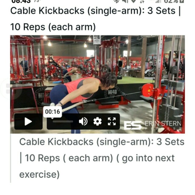 Cable Kickbacks (single-arm): 3 Sets | 10 Reps (each arm) by Corporal K ...