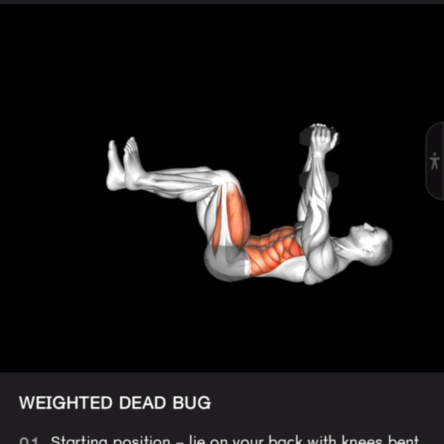 Weighted Dead Bug by Roxxi Franklin - Exercise How-to - Skimble