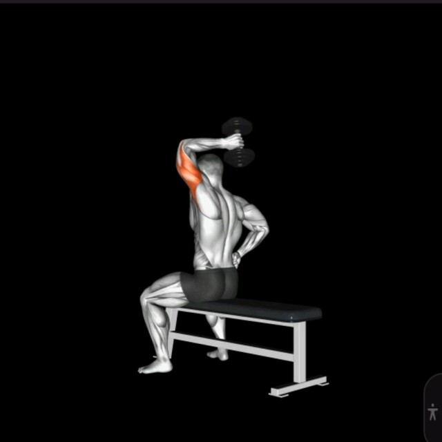 Seated Tricep Extension (Right) by Roxxi Franklin - Exercise How-to ...