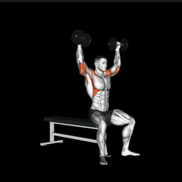 Seated Dumbbell Arnold Press by Roxxi Franklin - Exercise How-to - Skimble