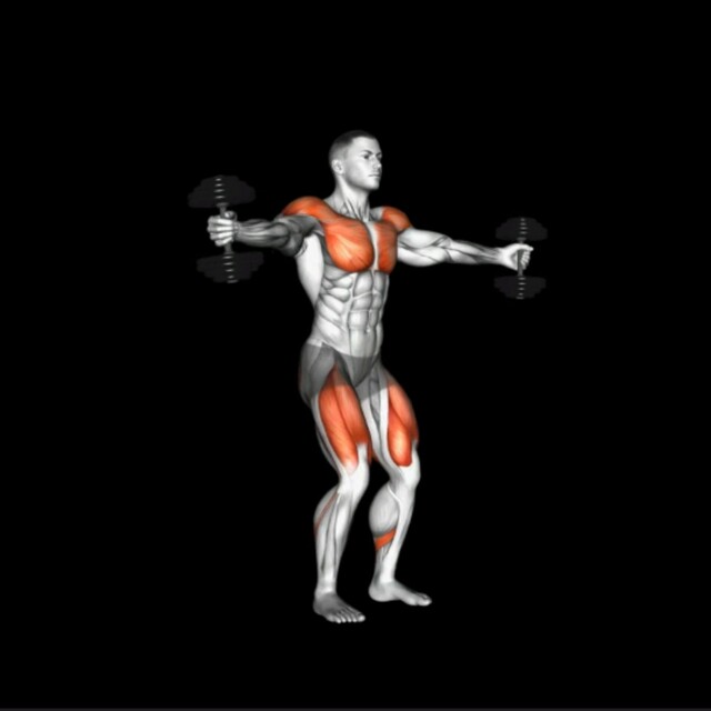 Dumbbell Iron Cross by Roxxi Franklin - Exercise How-to - Skimble