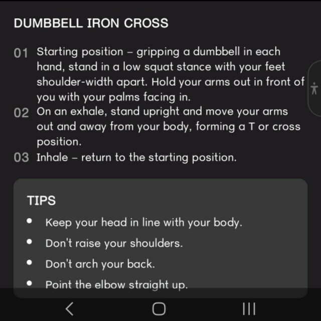 Dumbbell Iron Cross by Roxxi Franklin - Exercise How-to - Skimble