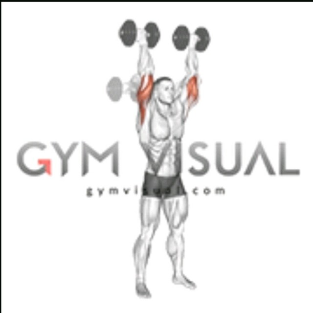 Dumbbell/Ez Barbell Standing French Press by Roxxi F. - Exercise How-to ...