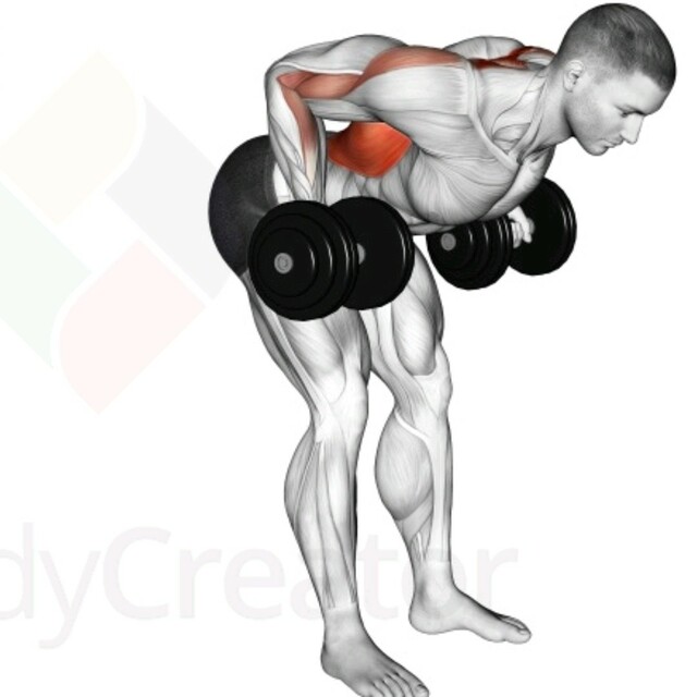 Reverse Grip Dumbbell Row by Roxxi Franklin - Exercise How-to - Skimble