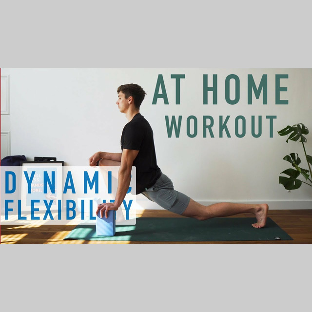Dynamic Full Body Flexibility Routine | Day 2 [At Home Program] - Free ...