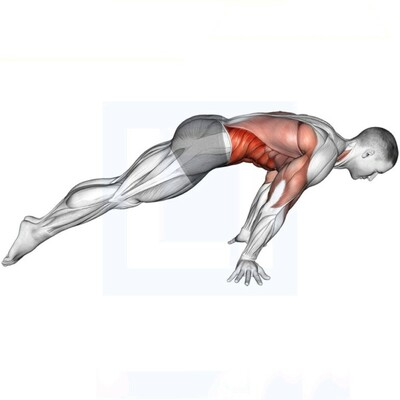 planche by Eliya Nahshon - Exercise How-to - Skimble