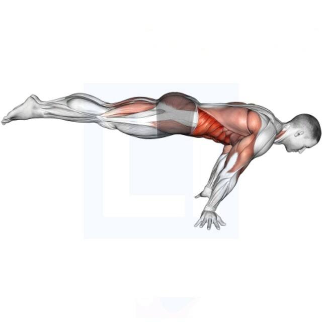 planche by Eliya Nahshon - Exercise How-to - Skimble