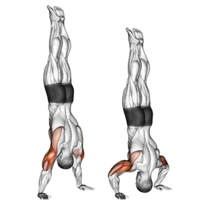 pseudo push ups by Eliya Nahshon - Exercise How-to - Skimble