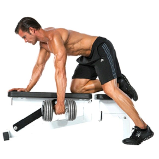 Seated One Arm Dumbbell Row by Martel Berry - Exercise How-to - Skimble