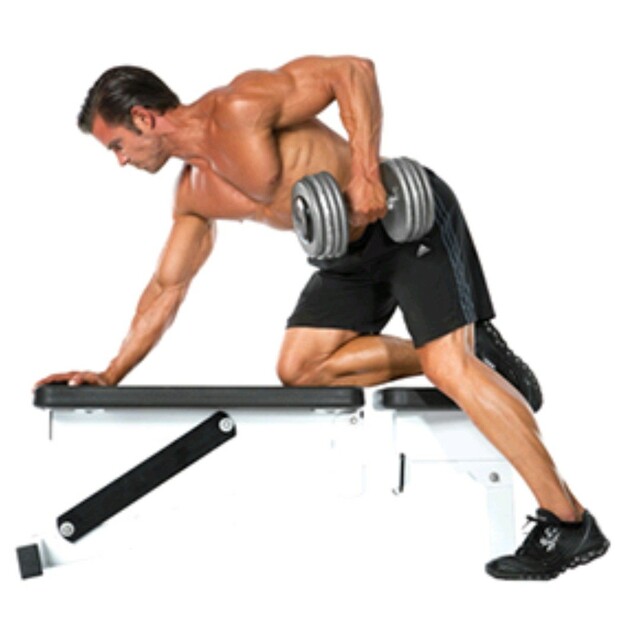 Seated One Arm Dumbbell Row by Martel Berry - Exercise How-to - Skimble