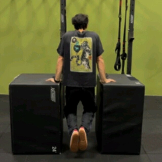 Scapular Dips by Alex 🌊. - Exercise How-to - Skimble