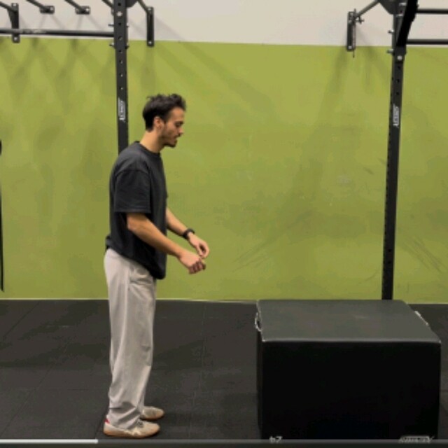 Jumping Into Box + Control Landing by Alex 🌊. - Exercise How-to - Skimble