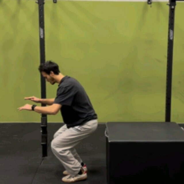 Jumping Into Box + Control Landing by Alex 🌊. - Exercise How-to - Skimble