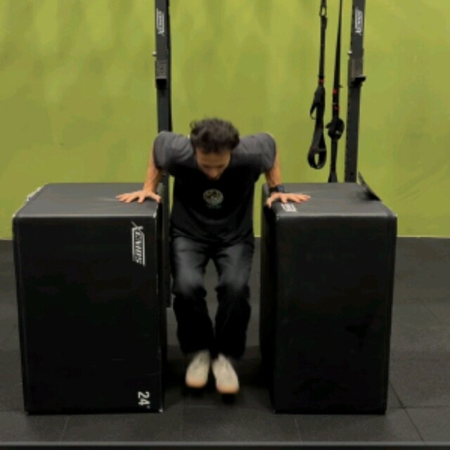 Dip Drops by Alex 🌊. - Exercise How-to - Skimble Workout Trainer