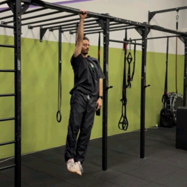 One Arm Active Hang- Hold by Alex 🌊. - Exercise How-to - Skimble