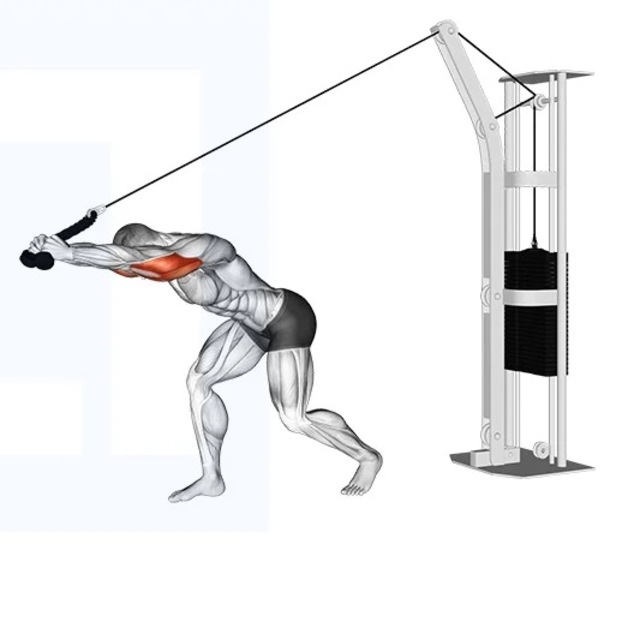 Overhead Tricep Extensions by Leyna Zapata - Exercise How-to - Skimble