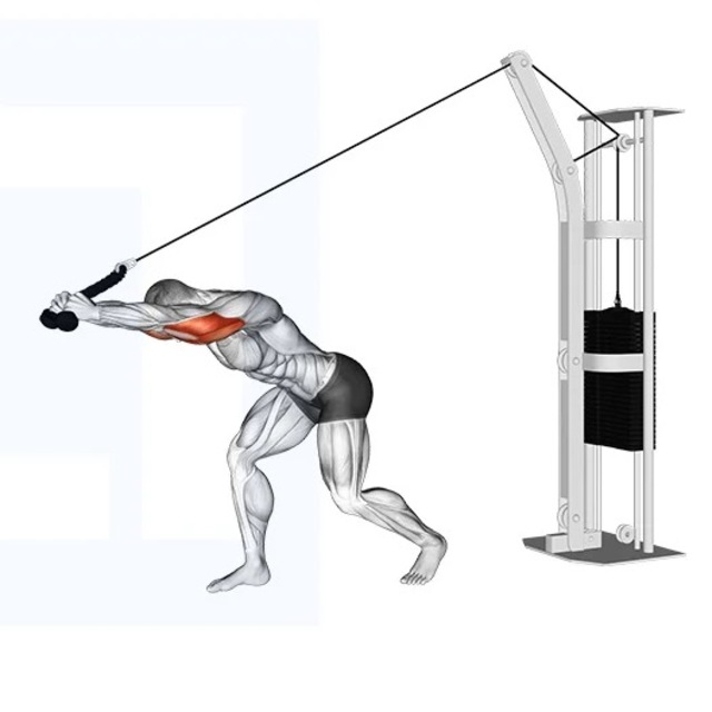 Overhead Tricep Extensions by Leyna Zapata - Exercise How-to - Skimble