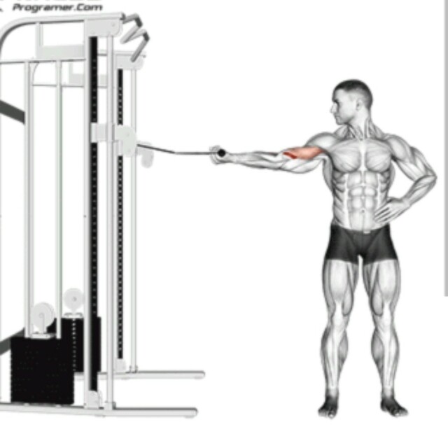 High Cable Curl by Martel Berry - Exercise How-to - Skimble