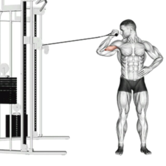 High Cable Curl by Martel Berry - Exercise How-to - Skimble