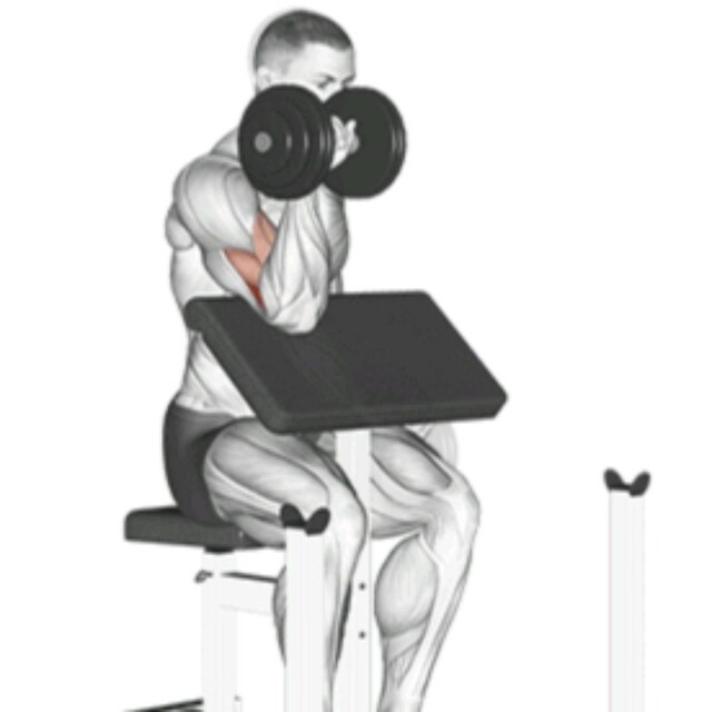 Preacher Curl One Arm by Martel Berry - Exercise How-to - Skimble