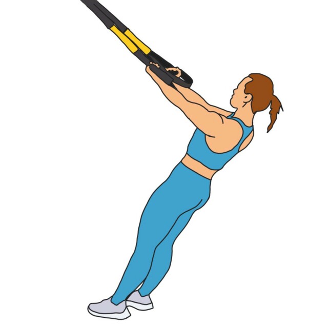 TRX Bicep Curls by Frank Roodenburg - Oefening Hoe-te - Skimble