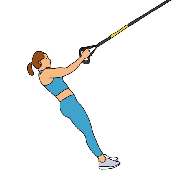 TRX Y Fly by Frank Roodenburg - Oefening Hoe-te - Skimble
