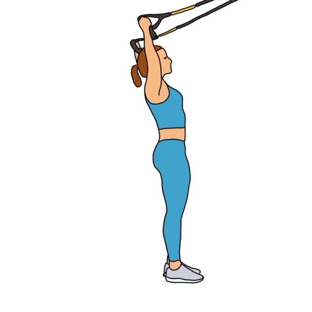 TRX Y Fly by Frank Roodenburg - Oefening Hoe-te - Skimble