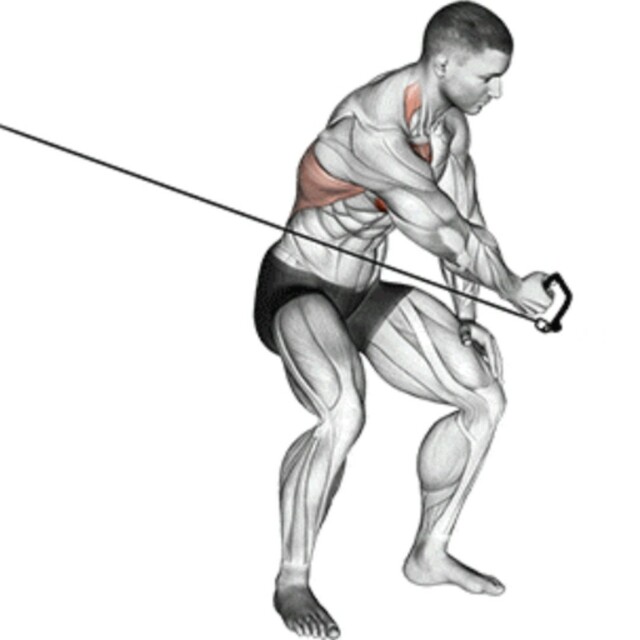 Single Arm Cable Cross Over by 𝔻𝕖𝕤𝕖𝕣𝕥 𝔽𝕠𝕩🦊 🌟 - Exercise How-to - Skimble