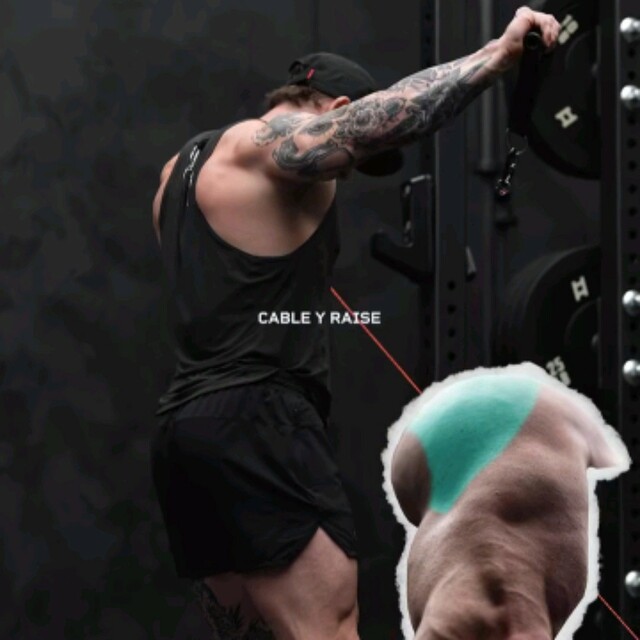 Cable Y Raise by Martel Berry - Exercise How-to - Skimble